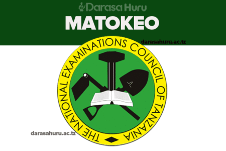 Matokeo Kidato Cha Nne (Form Four) 2024/2025 By NECTA