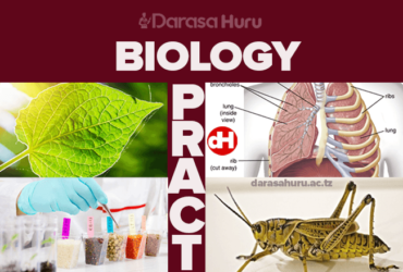 BIOLOGY NOTES FOR FORM THREE (O'LEVEL NOTES) - ALL TOPICS