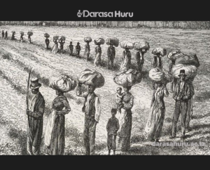 Topic 1: Modes of Production _ Pre-colonial African Societies - History ...