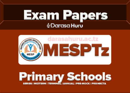 MESP Tanzania Standard Five End of Moth Examinations April 2024