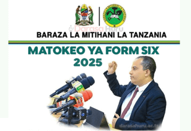 Matokeo ya Form Two (FTNA) 2024/2025(Form Two Results 2024)