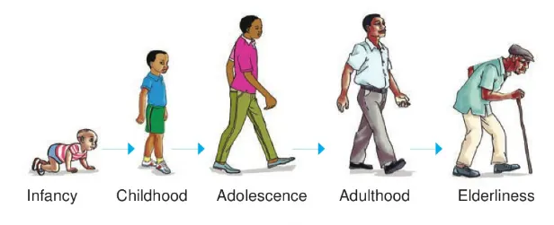 Screenshot 2026 01 27 215833